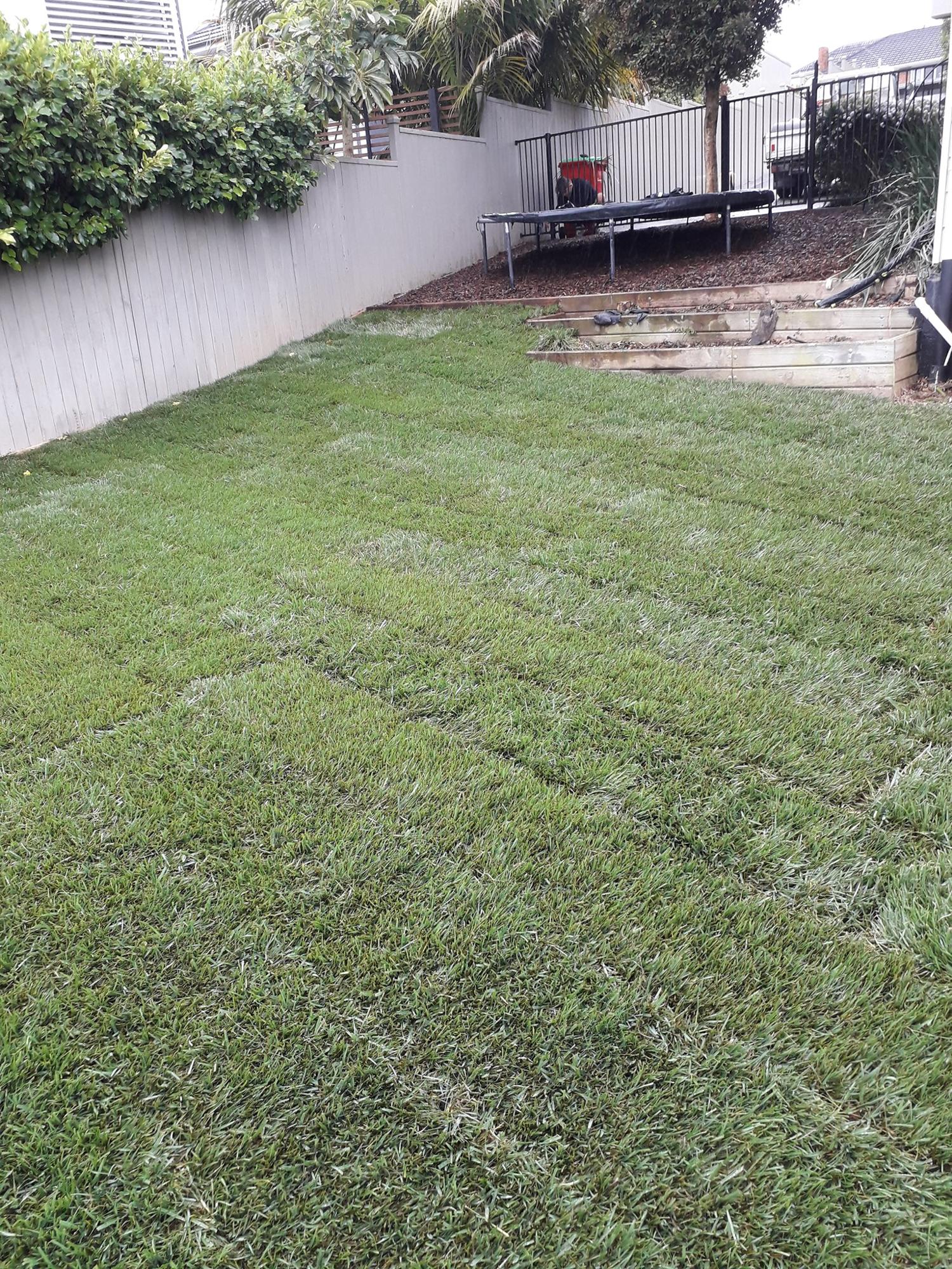 Leading Roll Out / Ready Lawn Installation Experts in Auckland | The ...