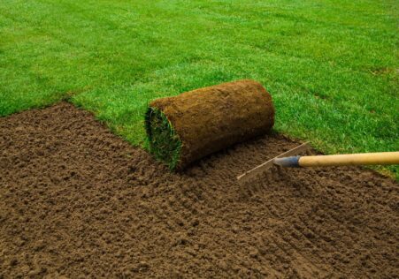 Eco-Friendly Techniques for Eradicating Onehunga Weed Infestation